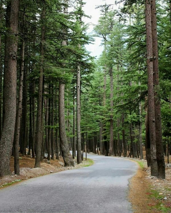 Destinations – Halla Gulla